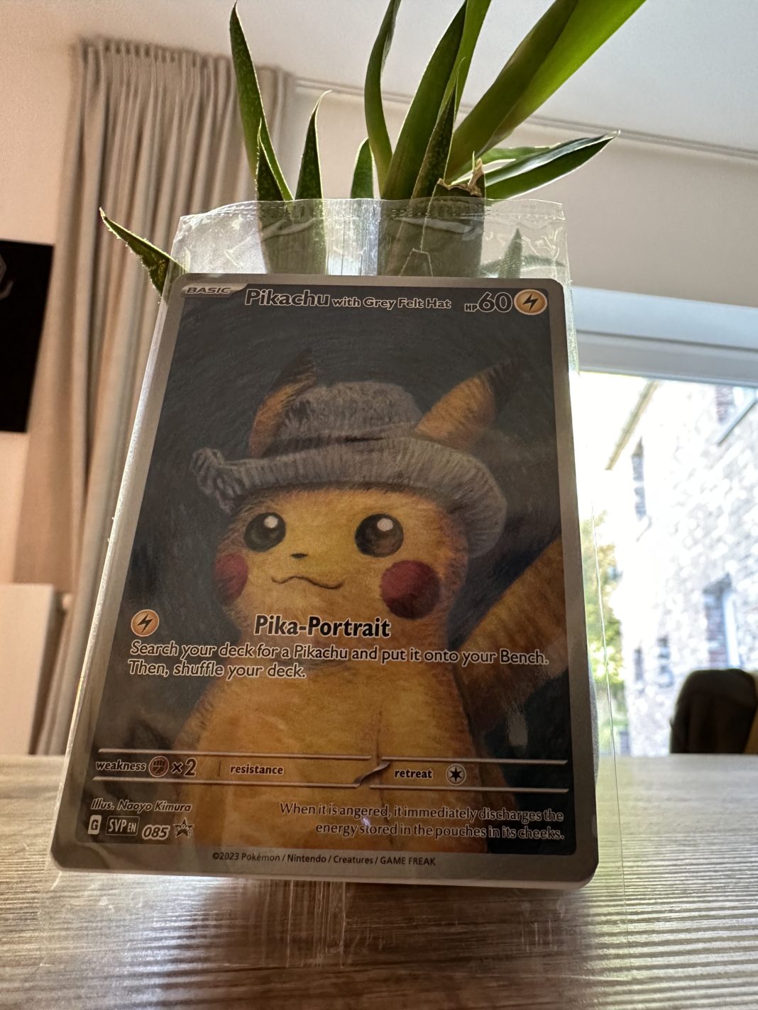 Musée Van Gogh : des bousculades provoquent le retrait de la carte ...