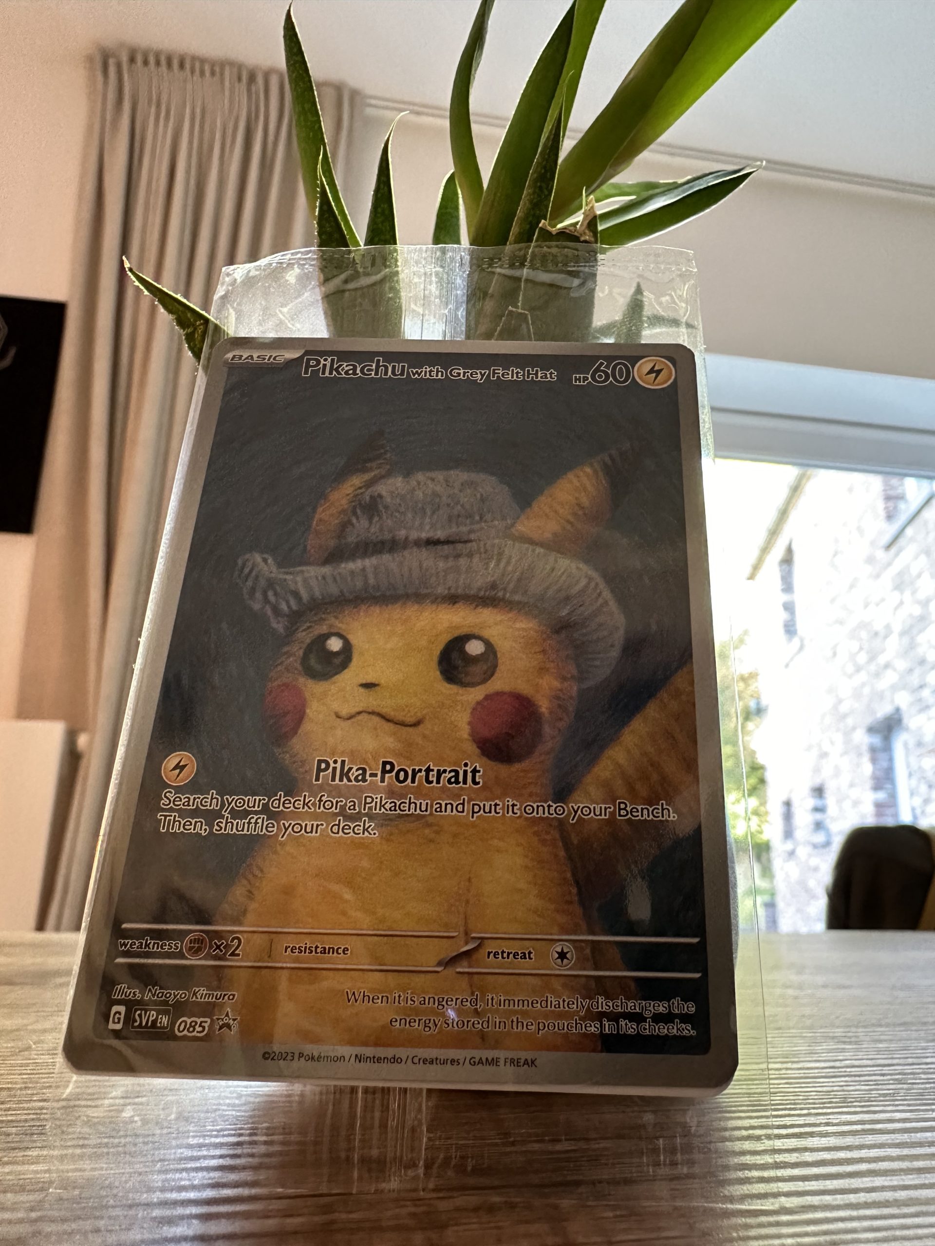 Musée Van Gogh : des bousculades provoquent le retrait de la carte ...